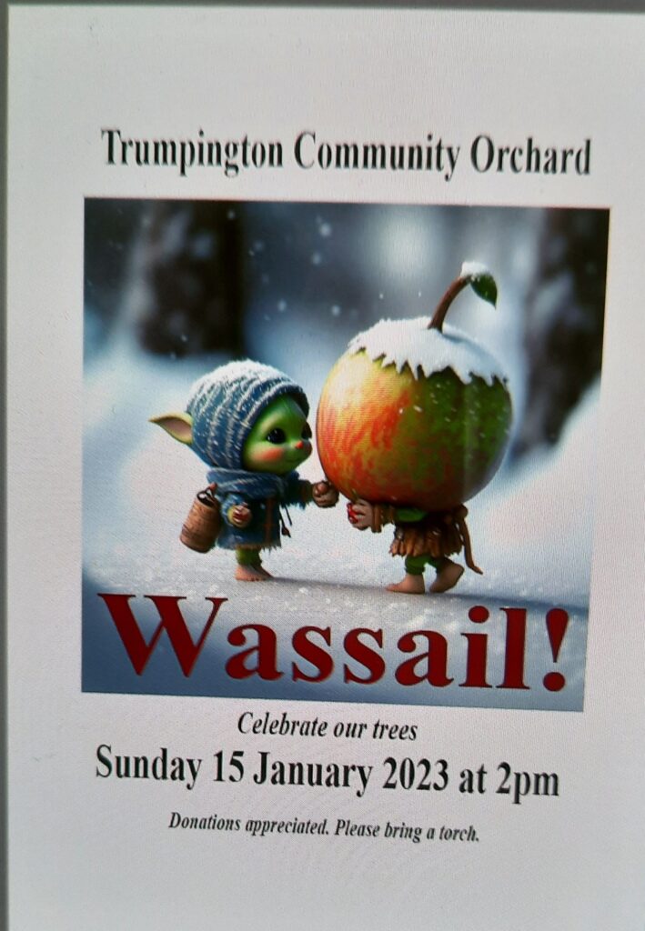 Come A-Wassailing. Discover this ancient Anglo-Saxon tradition | Clay ...