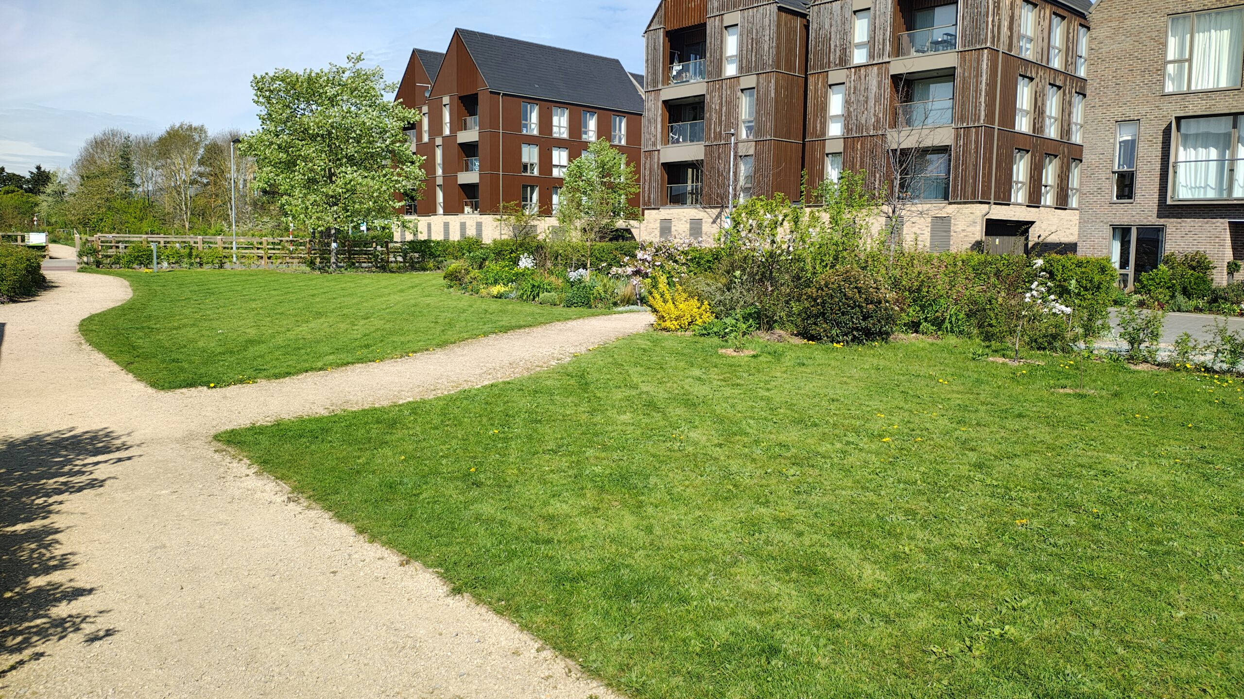 “No Mow May” and the Community Garden | Clay Farm Community Garden